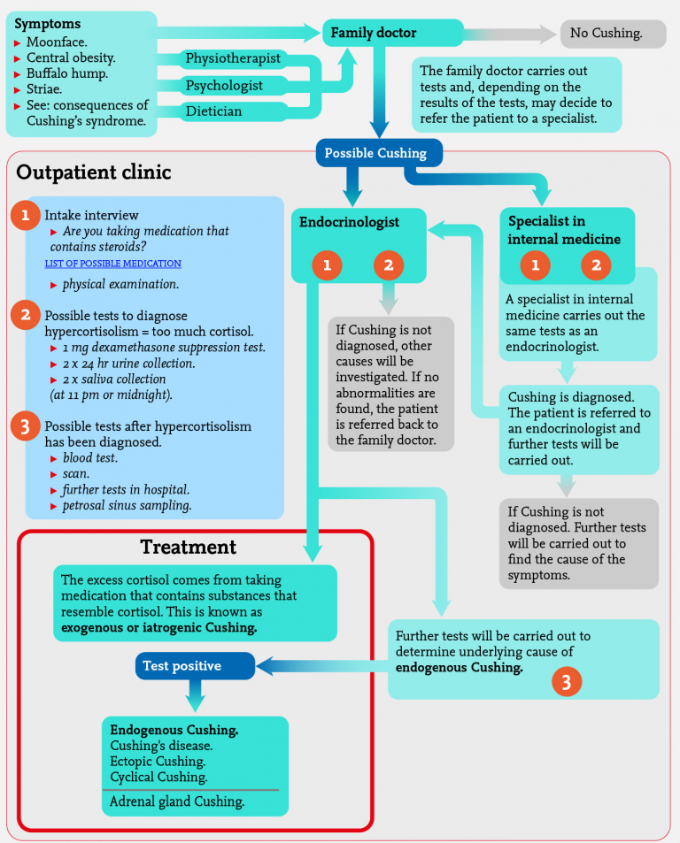 Cushing's syndrome infographic - Adrenals.eu