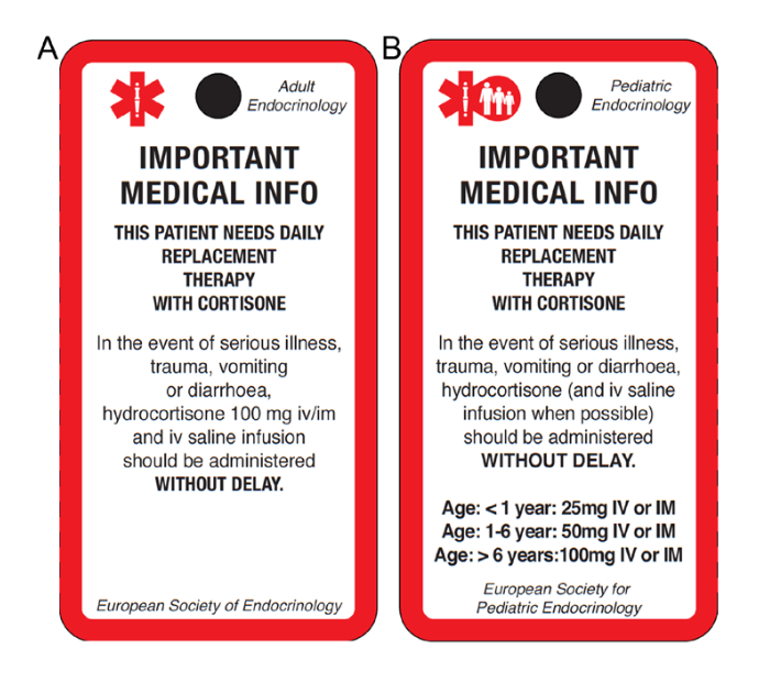 Doctors, teach your adrenal insufficiency patients well: provide them ...